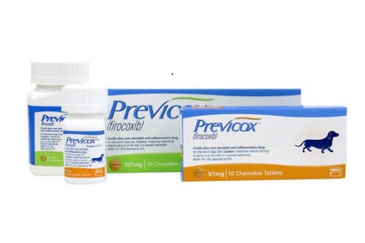 Previcox for Dogs - Uses, Dosage and Side Effects of Firocoxib