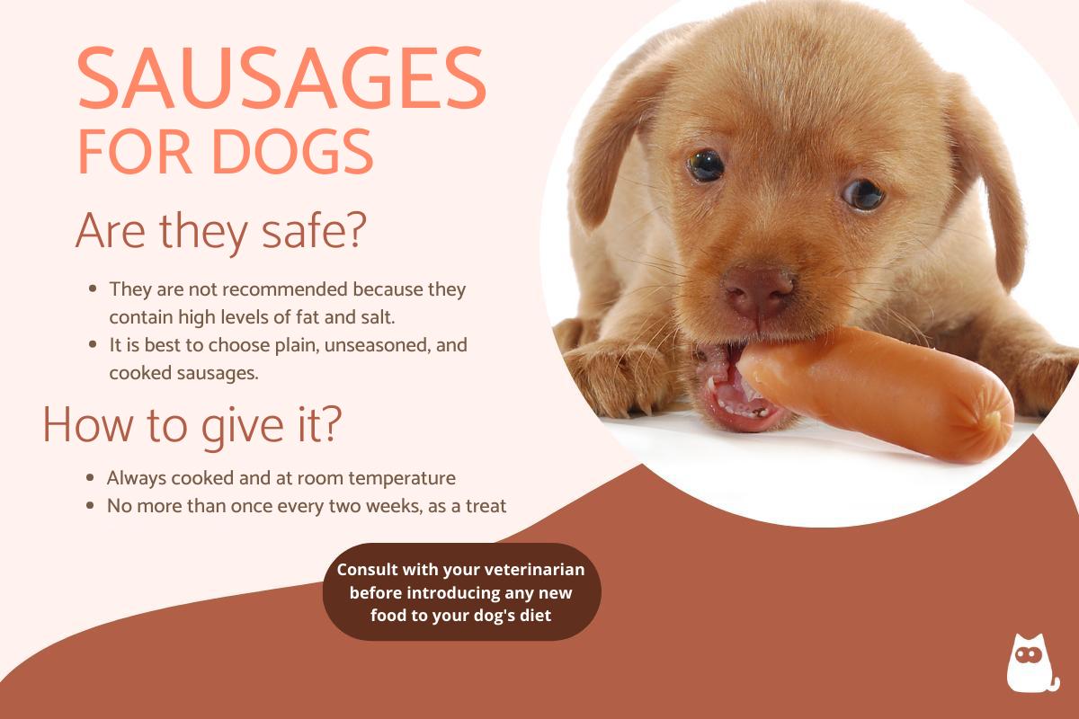 Sausages for Dogs - Benefits, Contraindications and Side Effects