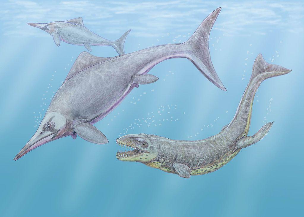 Types of Prehistoric Marine Reptiles - Names and Photos