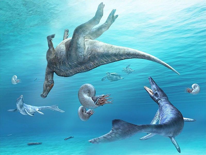 Types of Prehistoric Marine Reptiles - Names and Photos