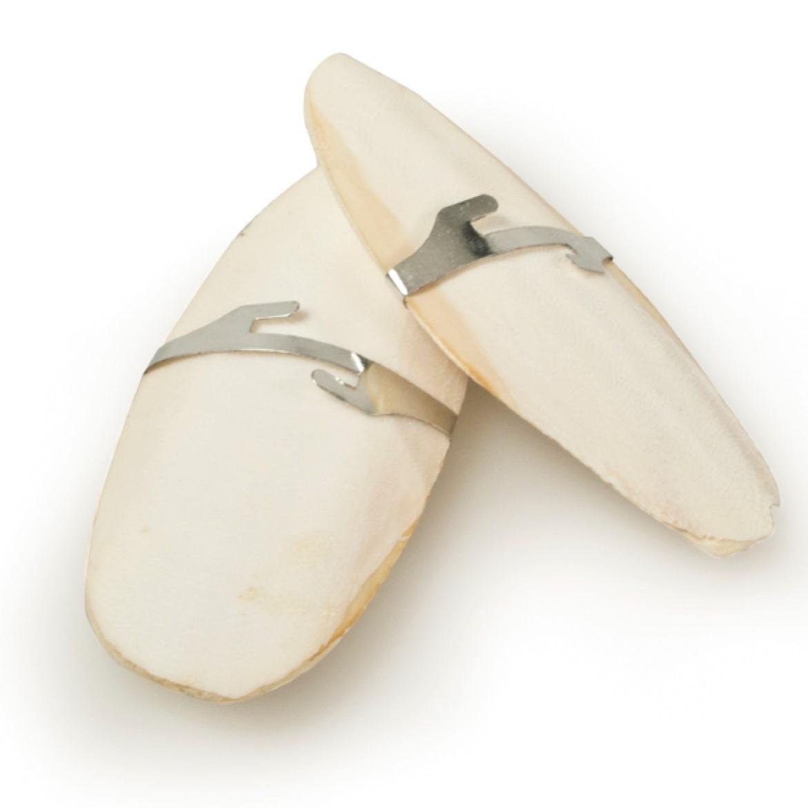 Nutritional Properties of Cuttlebone for Pets