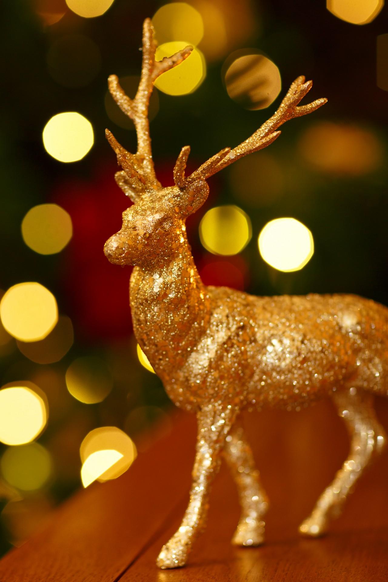 Who Are the Christmas Reindeer? History and Names