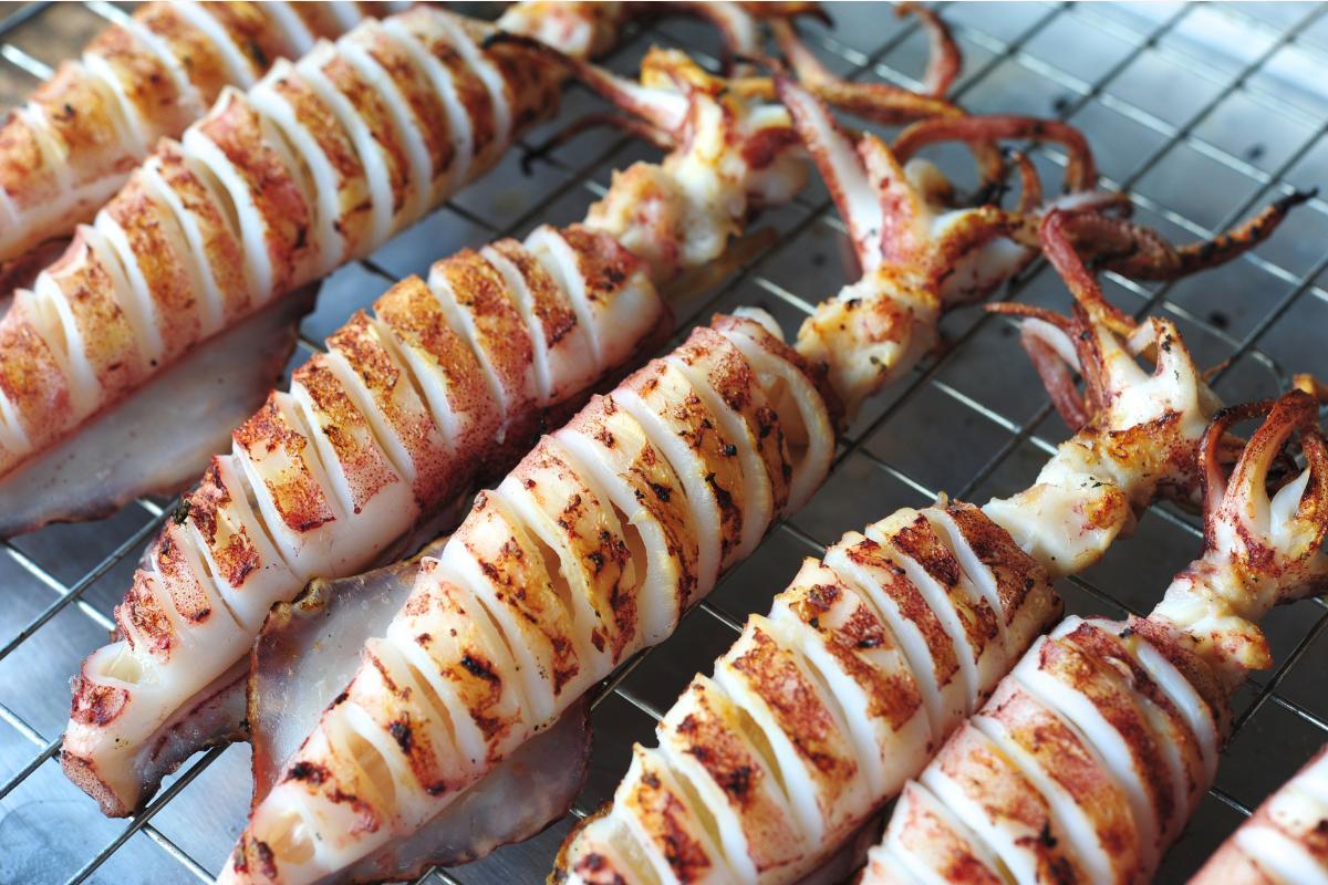Can Dogs Eat Squid? - Benefits and How to Offer It