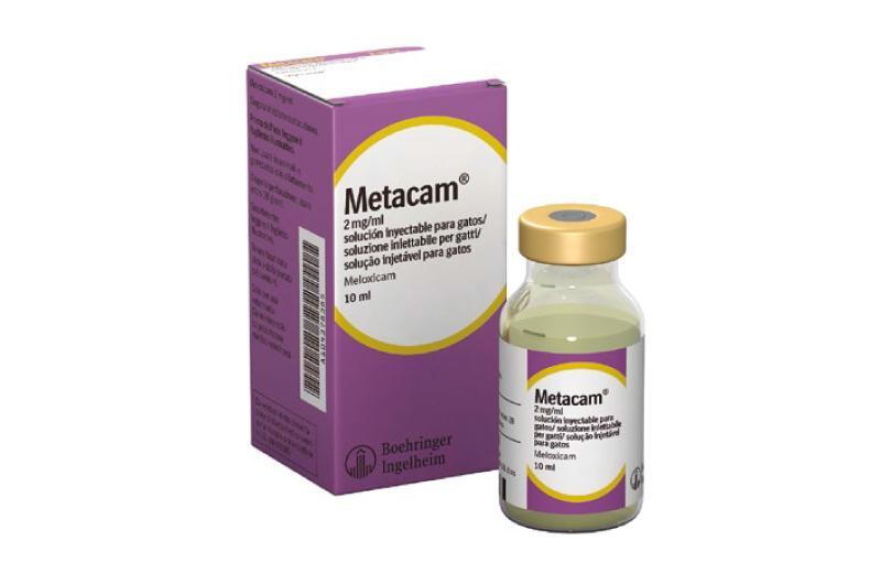Metacam for Cats - Dosage, Uses, Side Effects and Price
