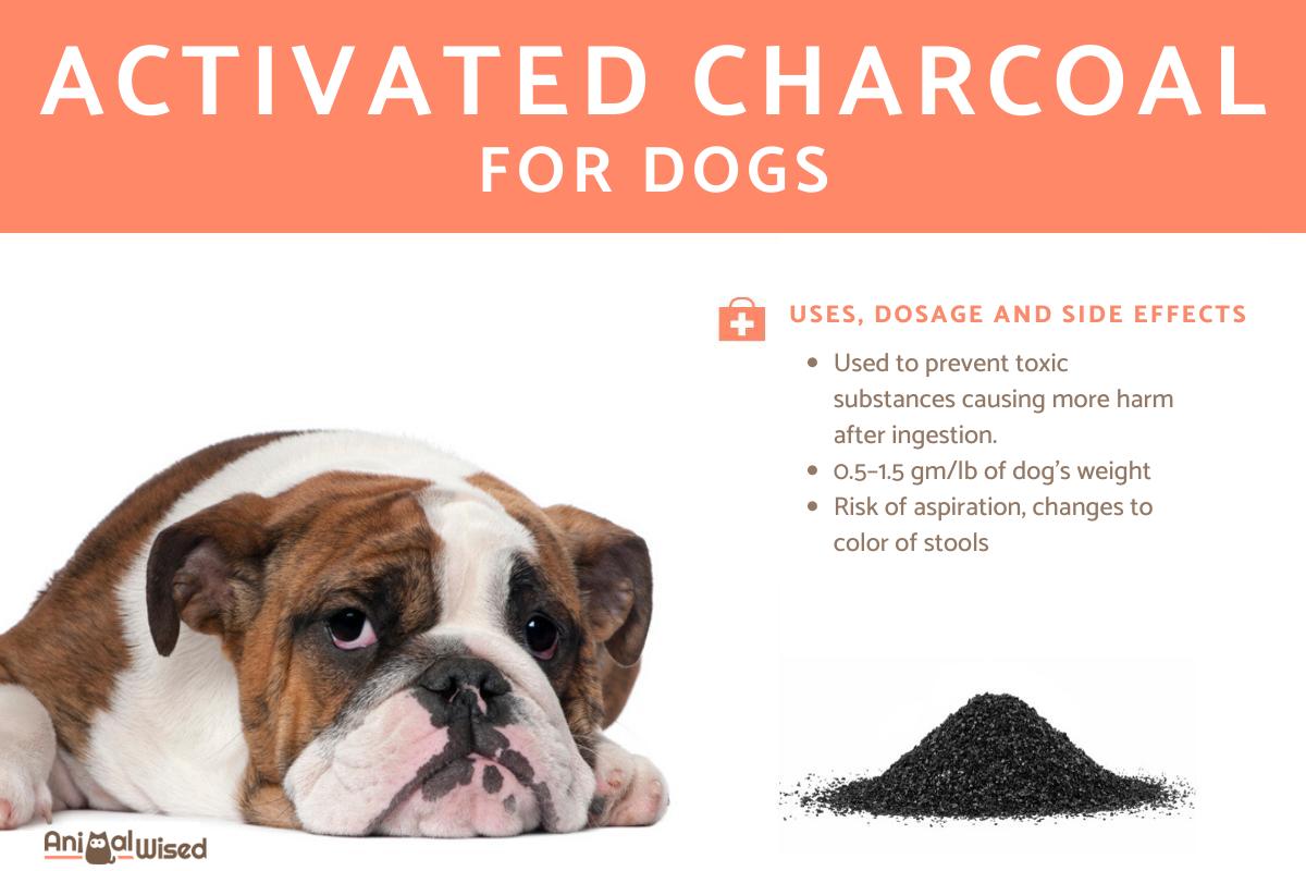 Activated Charcoal for Dogs - Uses, Dosage and Side Effects of ...