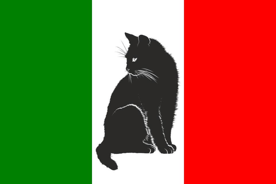 Italian Names For Cats - More than 200 Ideas!
