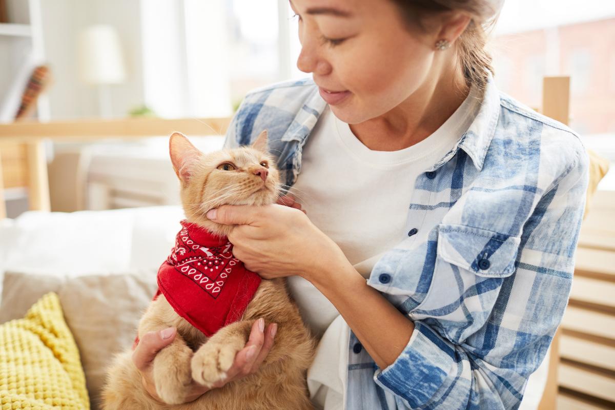 How Do Cats See Humans? - Physical and Emotional Perceptions