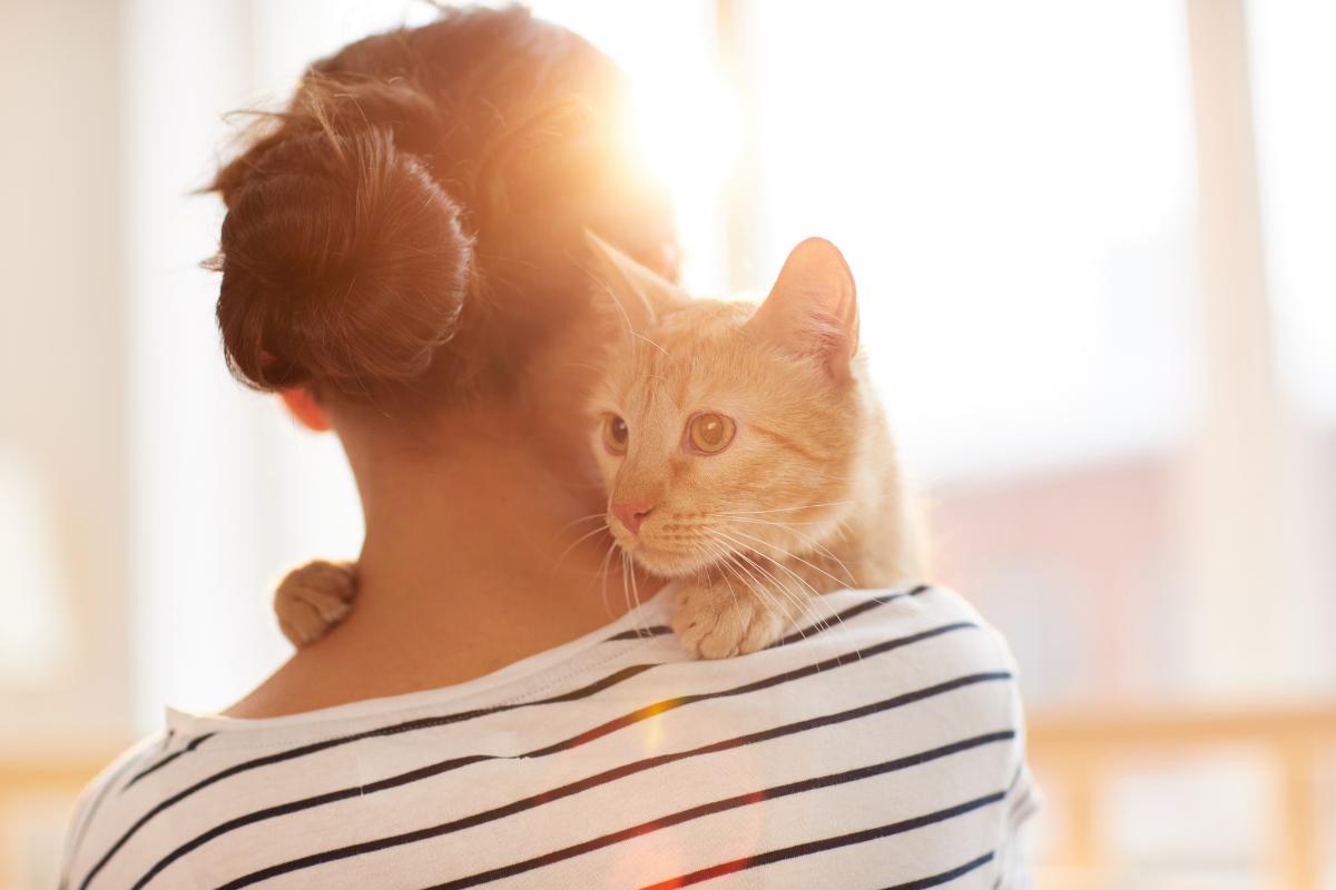 How Do Cats See Humans? - Physical and Emotional Perceptions