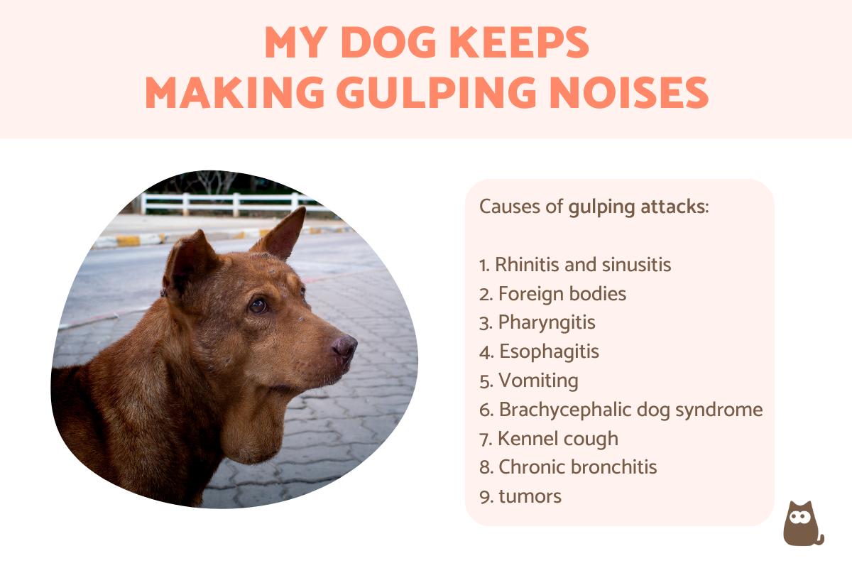 My Dog Keeps Making a Gulping Sound - Causes of Loud Swallowing