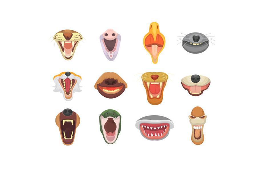 Which Animals Have The Most Teeth?