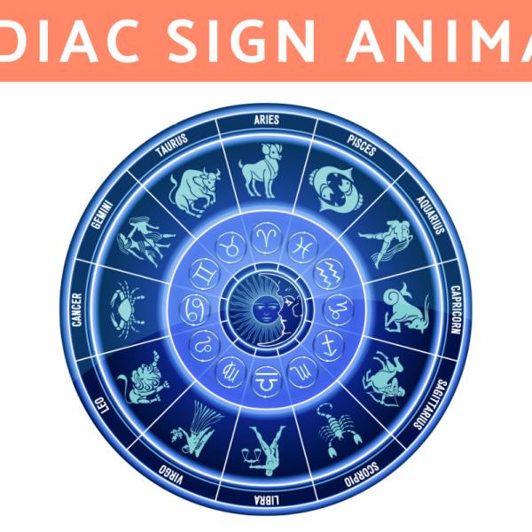 What is my zodiac symbol 60 photos - Astrologytoyou.com