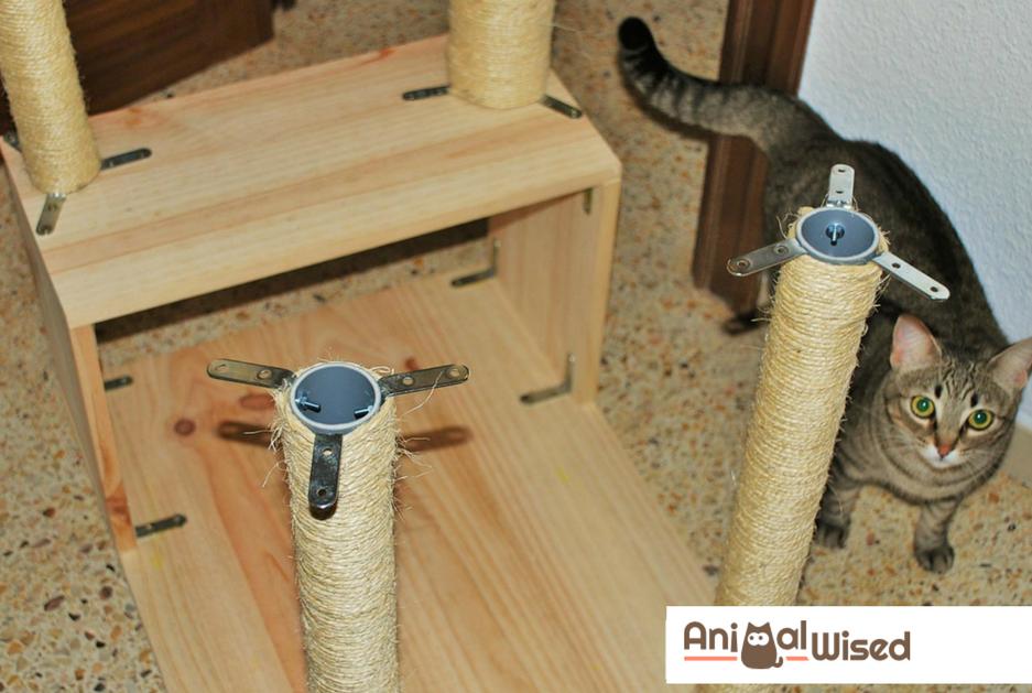 How to Make a Homemade Scratching Post for Cats - 8 steps