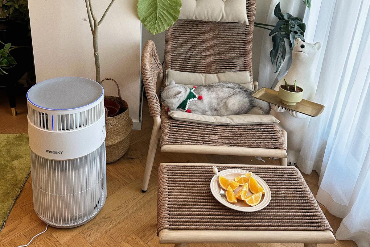 How Cat Air Purifiers Get Rid of Cat Hair to Help Cats and Owners