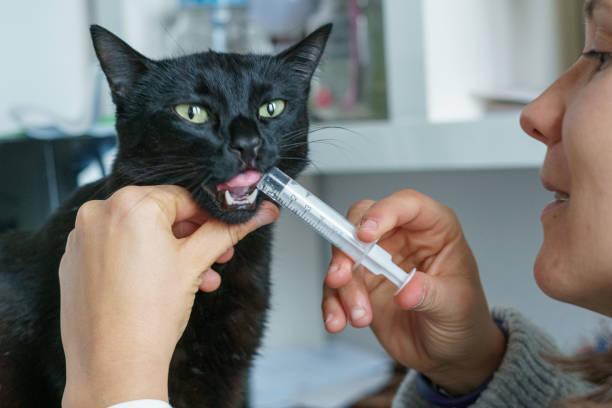 Clindamycin for Cats - Uses, Dosage and Side Effects
