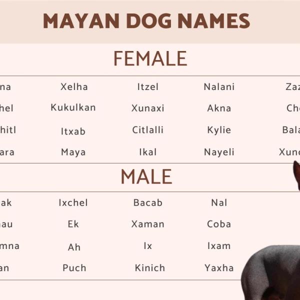 pretty mayan names